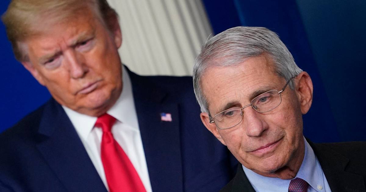 Trump ophæver sikkerhedsbeskyttelse for amerikansk virusekspert - Jyllands-Posten