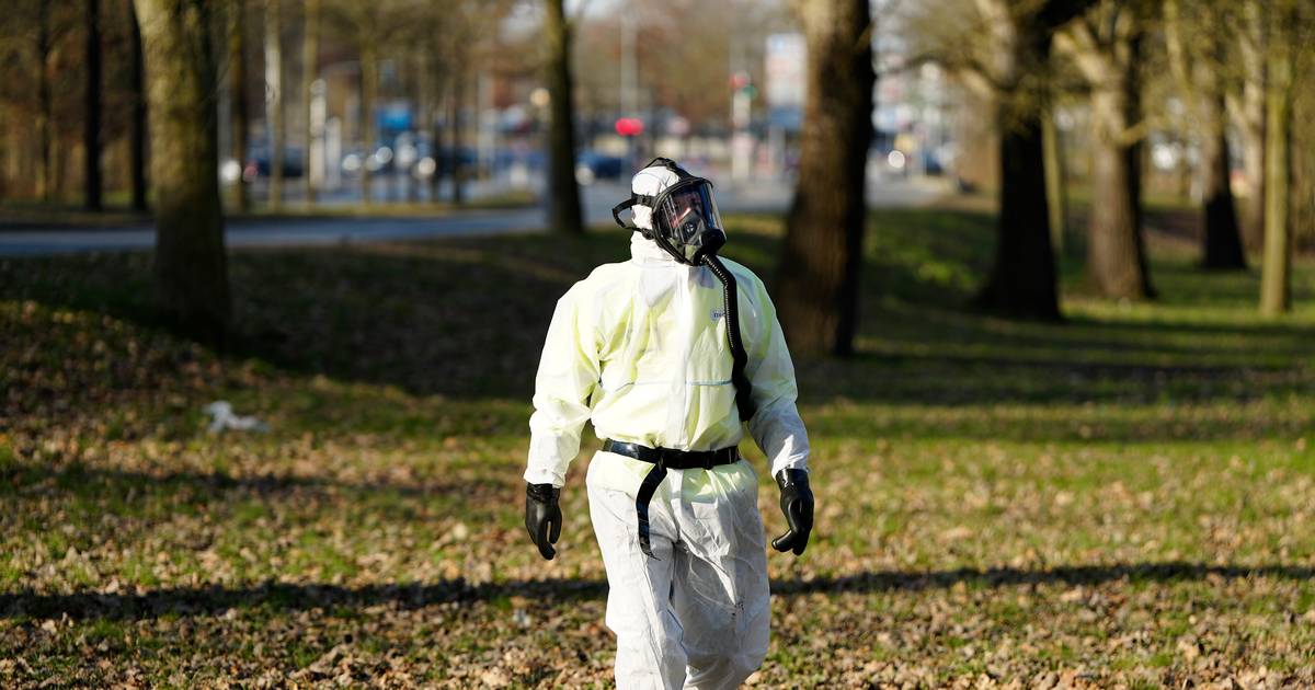Mænd med masker og heldragter sat ind i kampen mod giftig larve ...