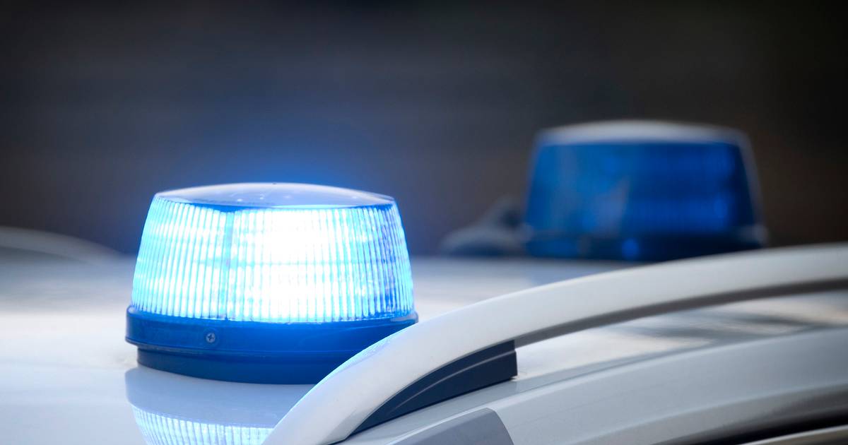 Politiet opgiver jagt på råbånd om Den sorte svane - Jyllands-Posten