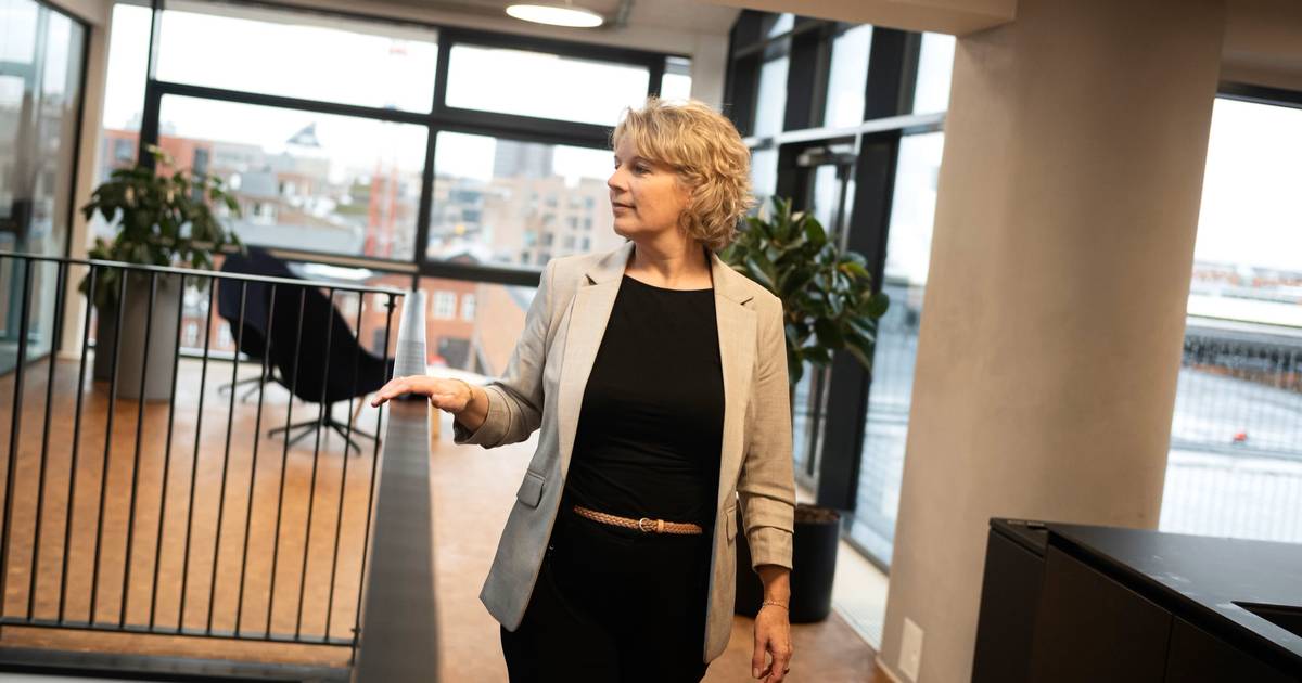 Privatøkonom kommer med råd til årsopgørelsen: Mange opbygger gæld uden ...
