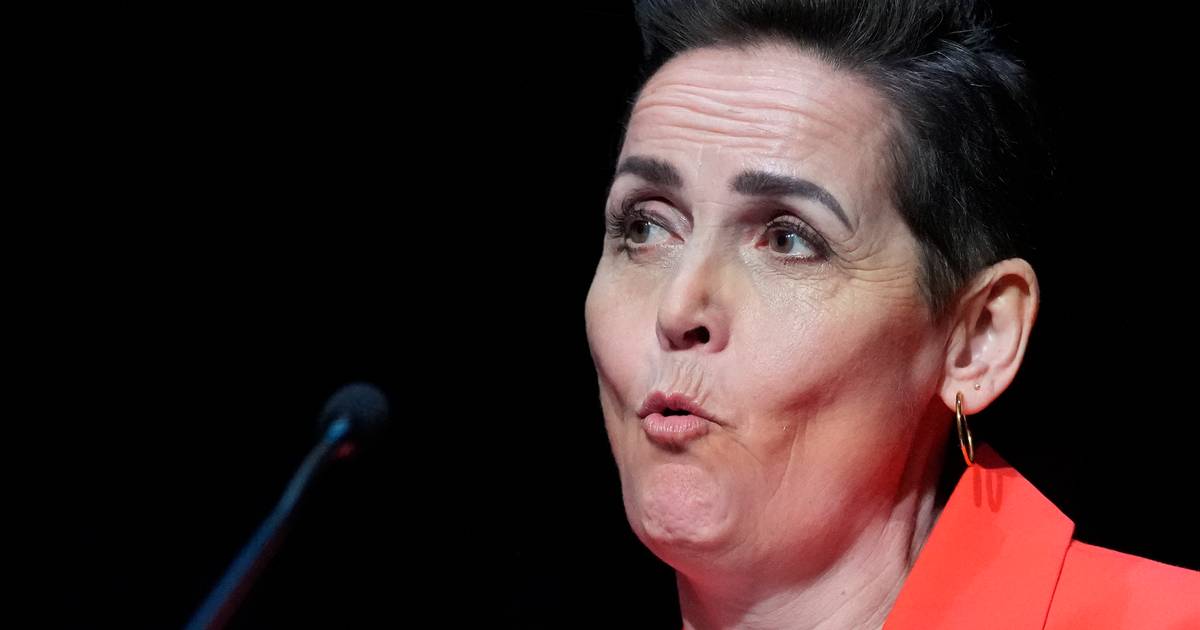 SF og Moderaterne holder landsmøde - Jyllands-Posten