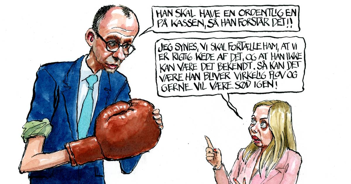 Dagens tegning: Kærlighed eller kølle? - Jyllands-Posten