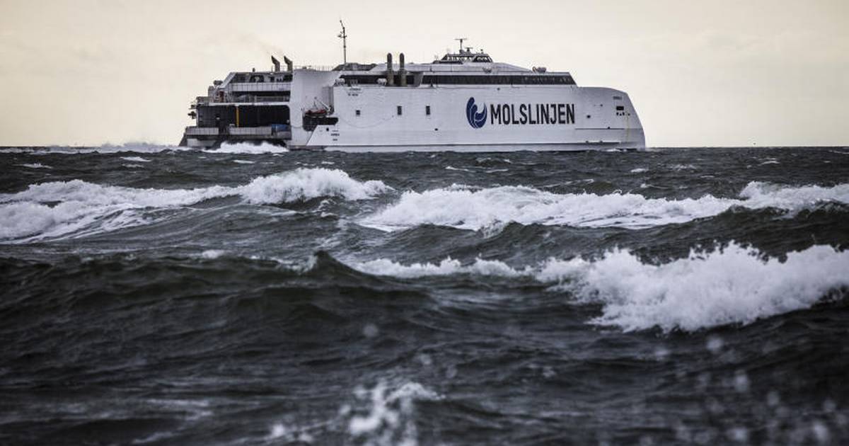 Kun en influencer kan true Kombardo-sangen - Jyllands-Posten