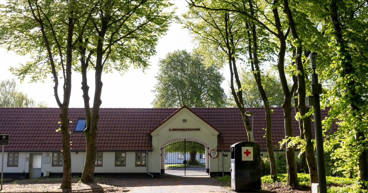 En forårsmorgen betalte Beate Anders den ultimative pris for ...