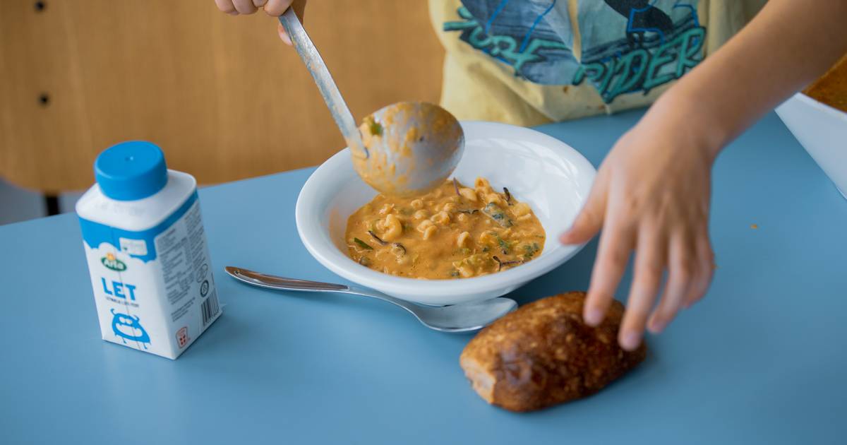Gratis mad til ungerne: Her er de lokale skoler, der skal være med i ...