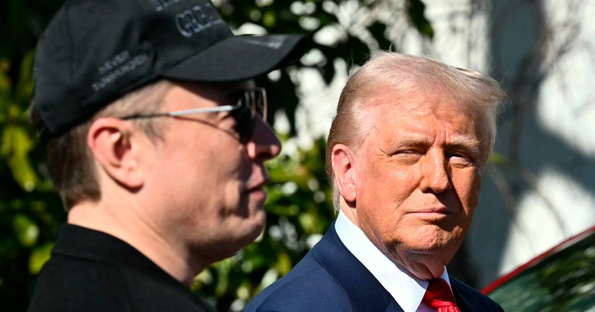 Trump indkalder til fælles pressemøde med Elon Musk - Jyllands-Posten