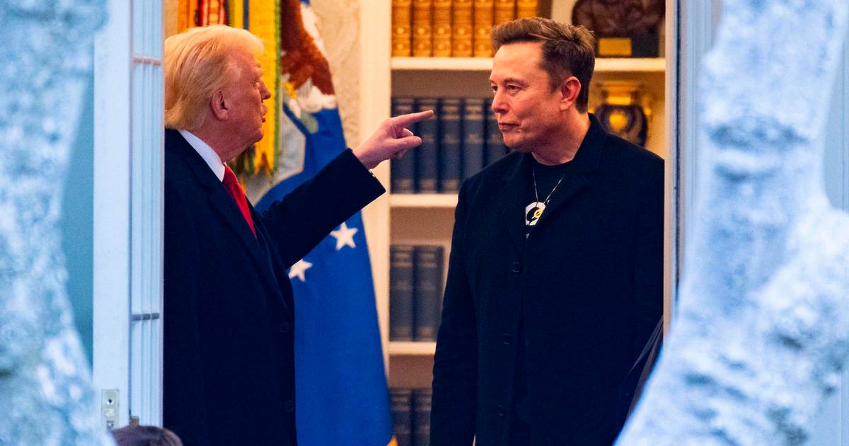Donald Trump og Elon Musk i åben strid - Jyllands-Posten