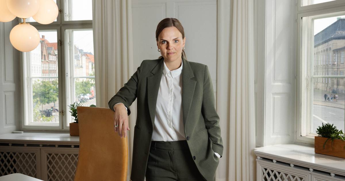 Nyhedsoverblik - Jyllands-Posten