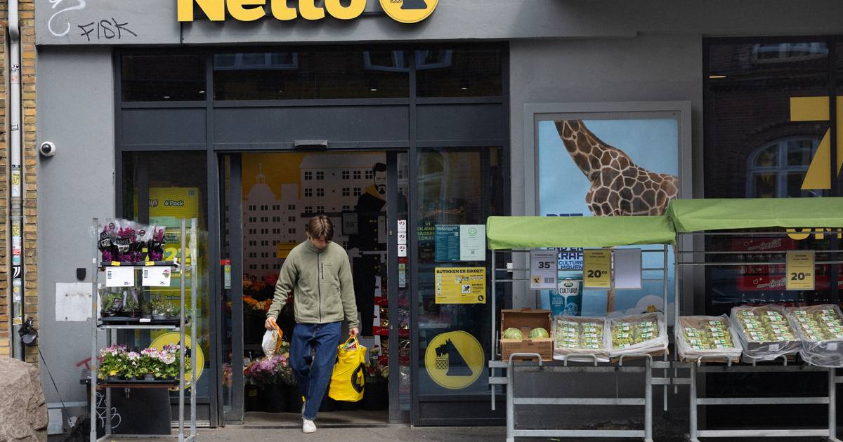 Hidtil fortrolig rapport: Har fundet salmonella i kyllinger fra Netto, Føtex og Bilka - Jyllands ...