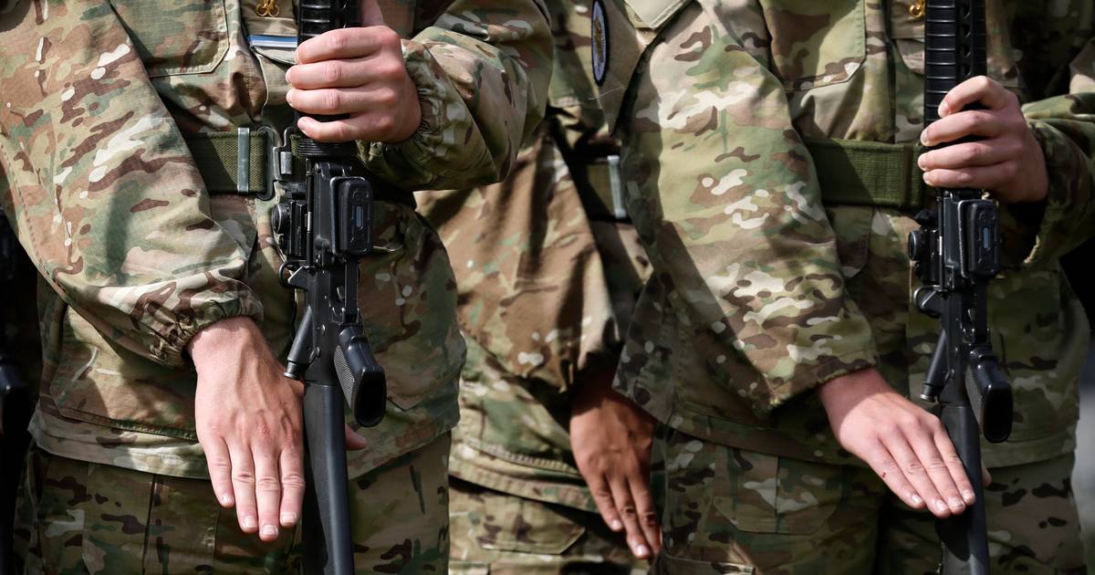 Vagthunde retter skarp kritik mod Forsvarsministeriet - Jyllands-Posten