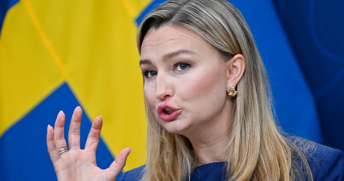 Svensk regeringsparti vil indføre ny straf mod demonstranter - Jyllands-Posten