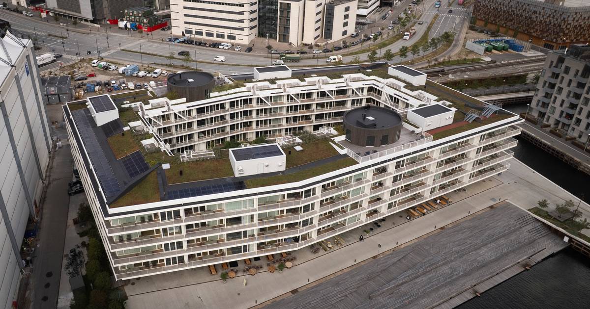 Direktør afviser anklager om lyssky hoteldrift på prominent adresse - JP's optælling fortæller ...