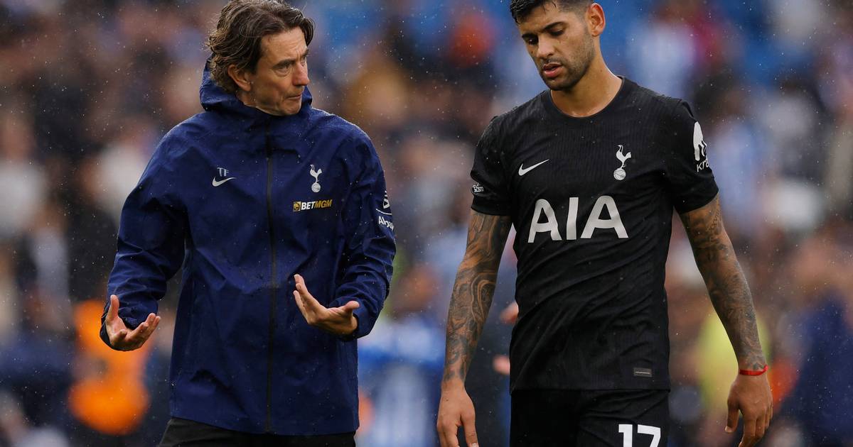 Tottenham gravede sig ud af knibe og fik point i Brighton - Jyllands-Posten