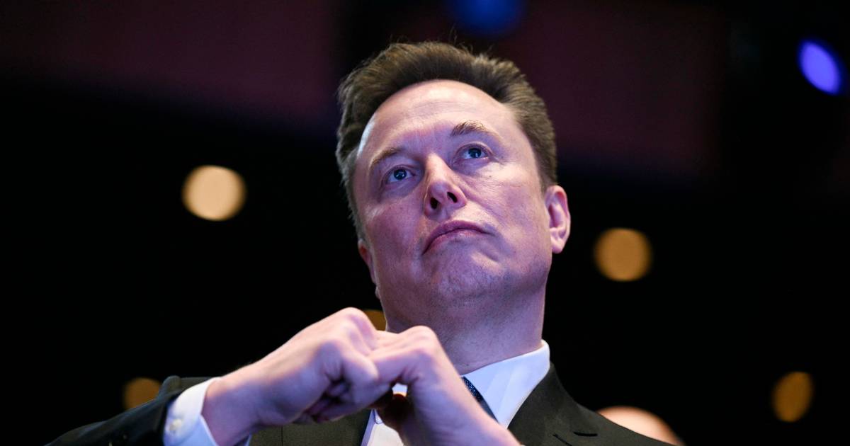 Elon Musks kunstige intelligens påstår, at han er klogere end Da Vinci ...