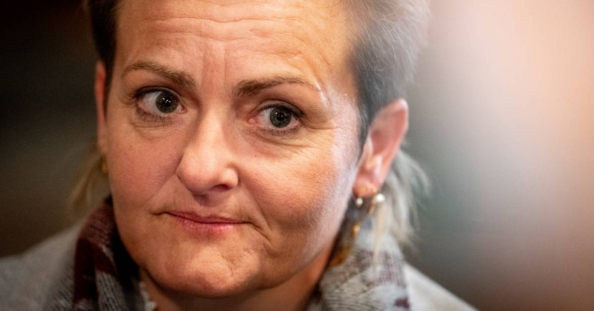 Pernille Rosenkrantz-Theil trækker sig fra politik - Jyllands-Posten