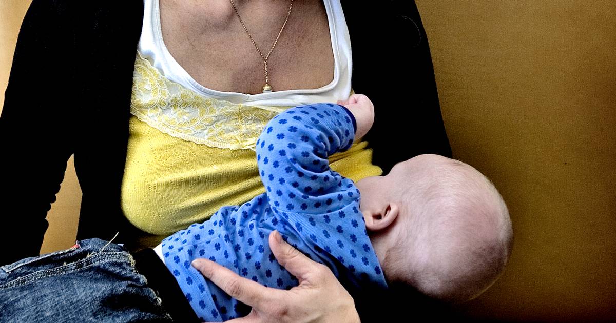 Jeg skal på arbejde – hvem ammer mit barn? - Jyllands-Posten