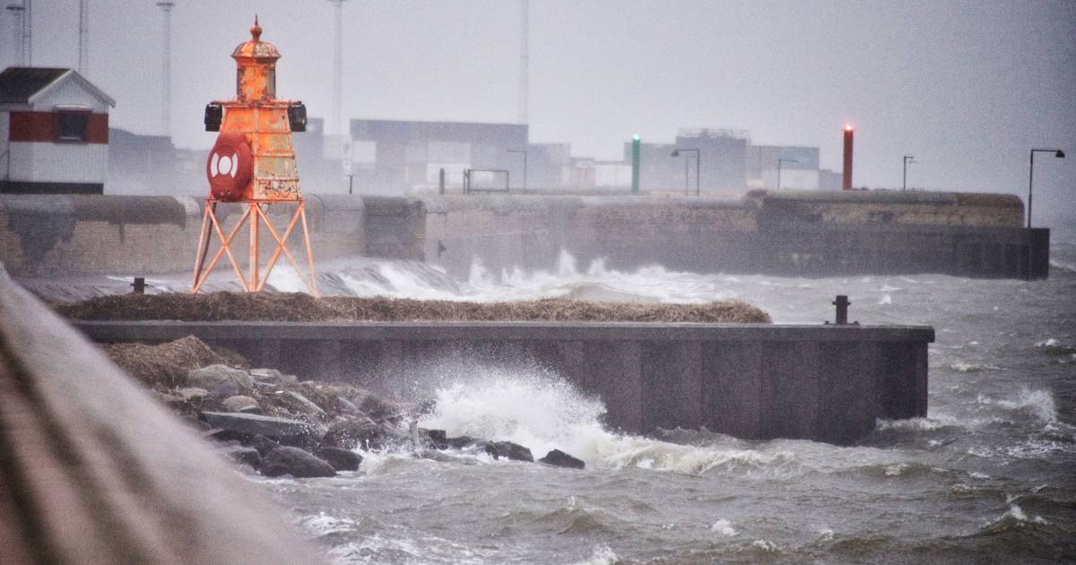 Nyhedsoverblik - Jyllands-Posten