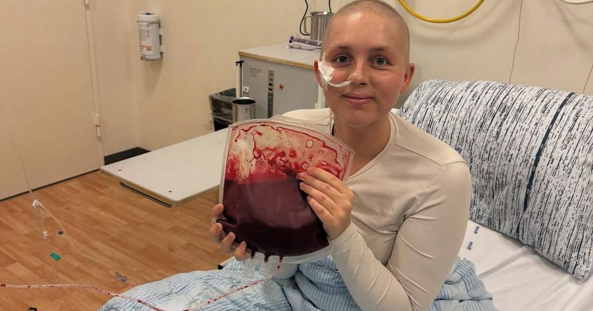 Vær et andet menneskes julemirakel: Meld dig som stamcelledonor ...