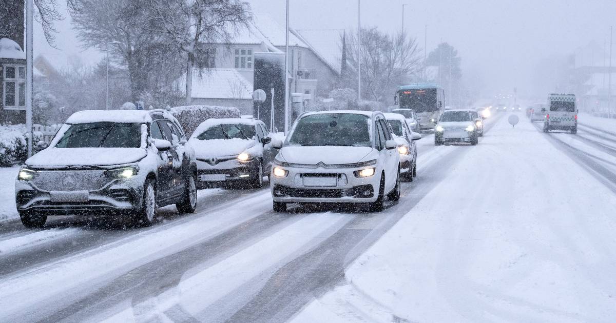 Nyhedsoverblik - Jyllands-Posten