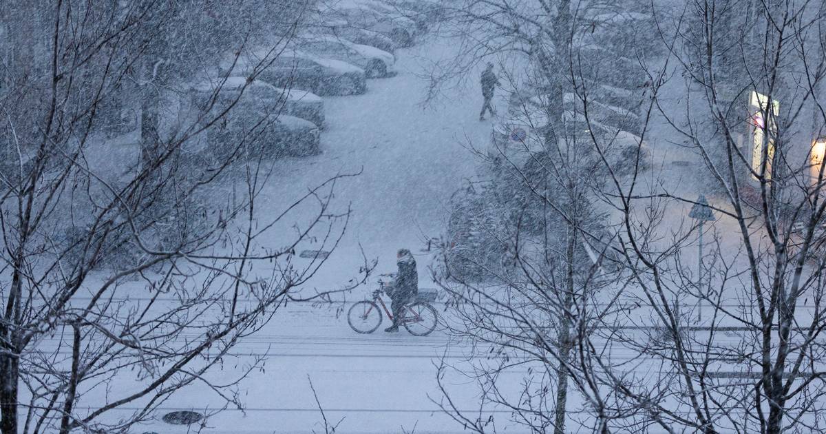 Nyhedsoverblik - Jyllands-Posten