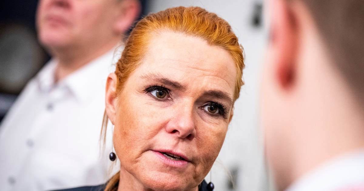 Støjberg vil afskære indvandrere fra fødevarecheck - Jyllands-Posten