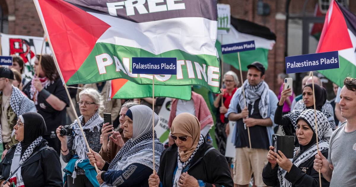 Palæstina-demonstrationer bliver stadigt mere radikaliserede - Jyllands ...