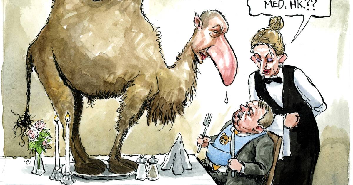 Dagens tegning: Noget for noget for nogen - Jyllands-Posten