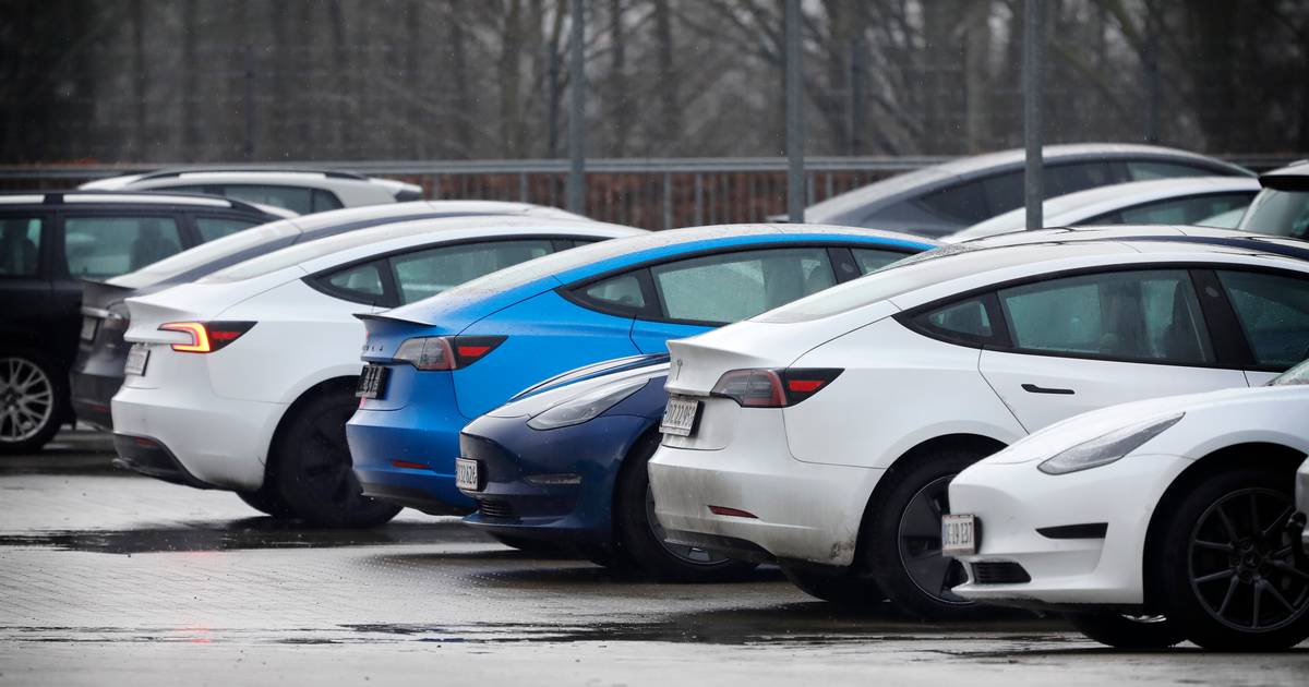 Tesla-ejeren var målløs, da politiet ringede. Jura-professor forklarer ...