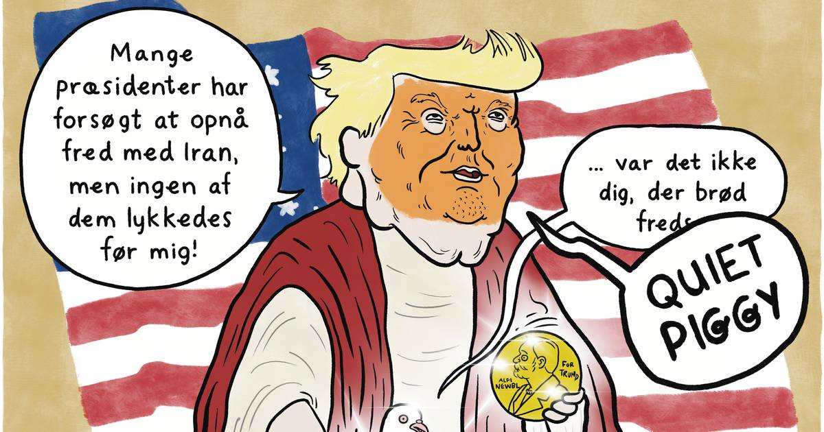 Dagens tegning: Bombesikker plan - Jyllands-Posten