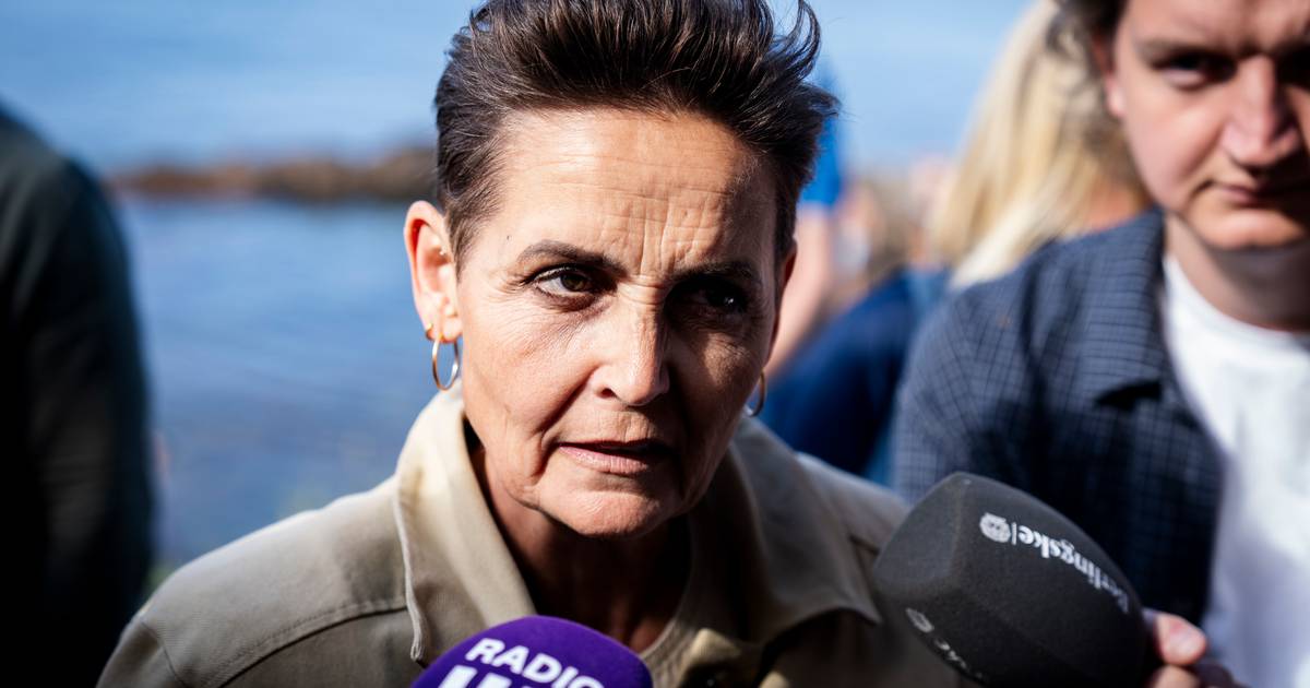 Pia Olsen Dyhr får igen særlig rådgiver efter balladesag - Jyllands-Posten