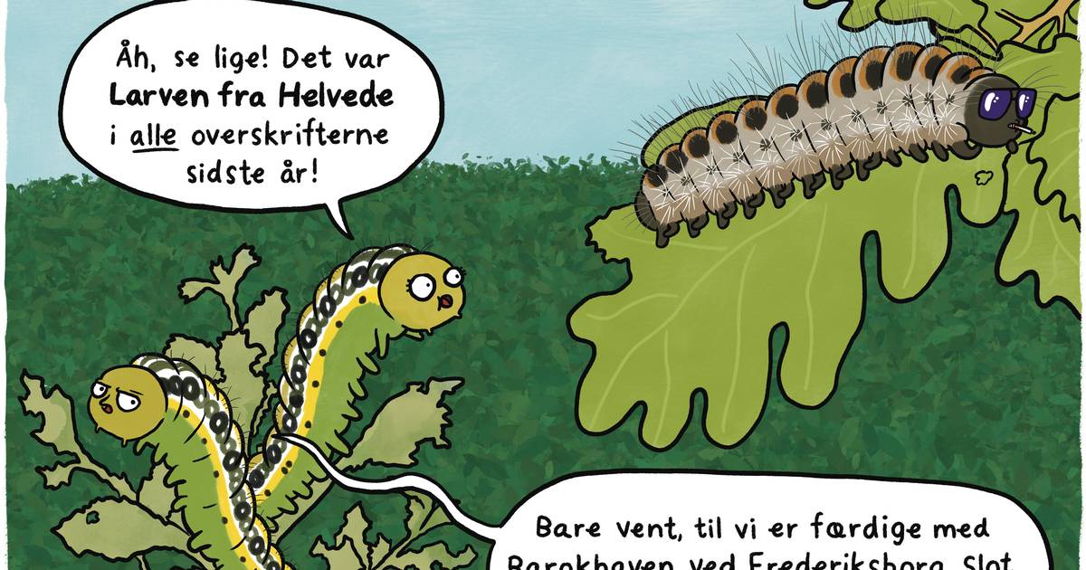 Dagens tegning: Årets onde larve - Jyllands-Posten