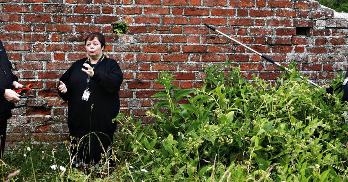 Tror jeg på spøgelser? - Jyllands-Posten