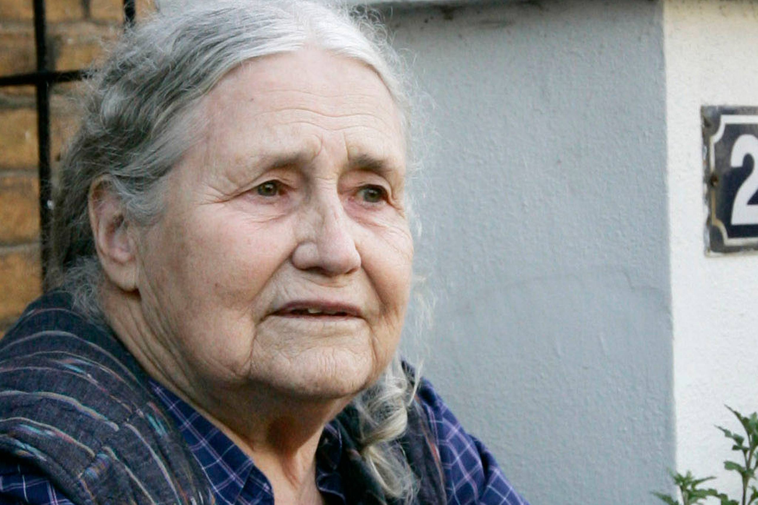 Lessing for syg til Nobelfest - Jyllands-Posten