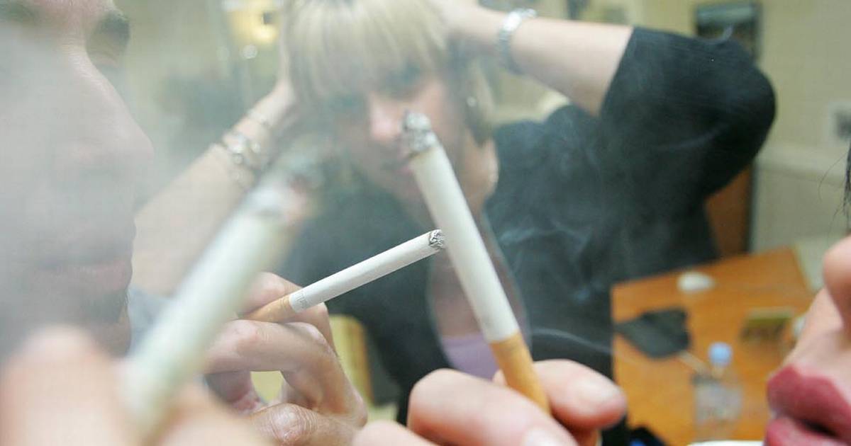 Rygeloven mindsker passiv rygning - Jyllands-Posten