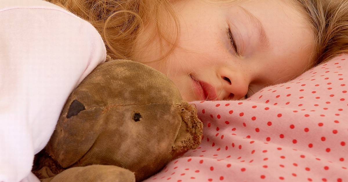 Bamsen kan være en bakteriebombe