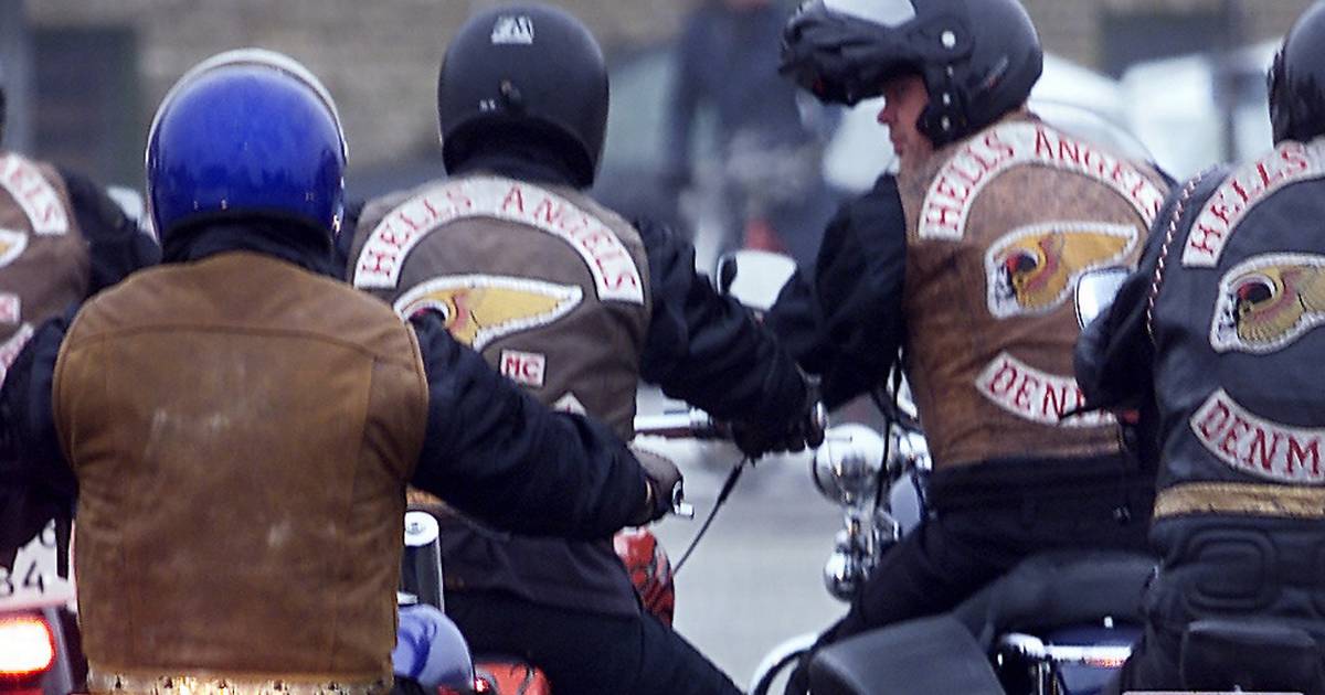 Tilfældig hashsælger skulle dræbes - Jyllands-Posten