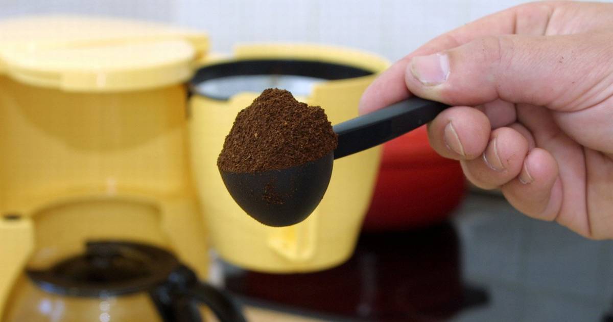 Billig kaffe er spækket med nikkel - Jyllands-Posten