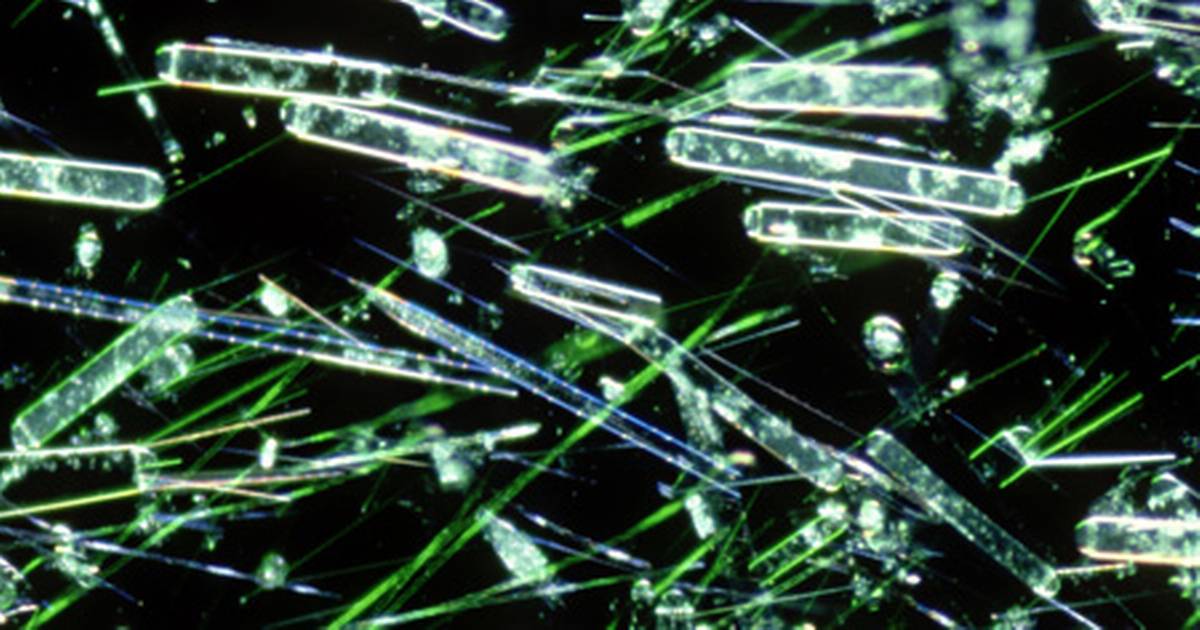 Plankton viser rekordhøjt CO2-niveau - Jyllands-Posten