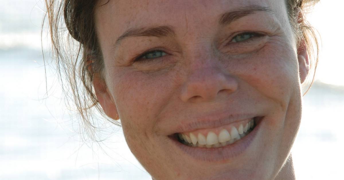 Her er Okmans Facebook-citater - Jyllands-Posten