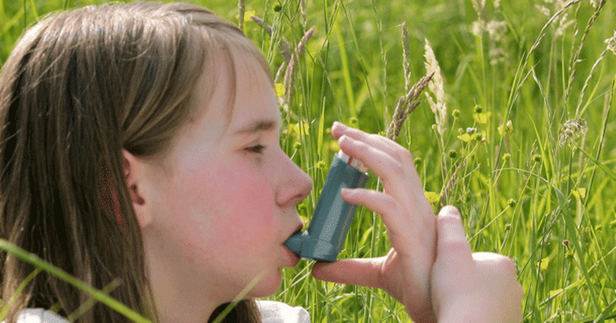 Bær hjælper mod astma