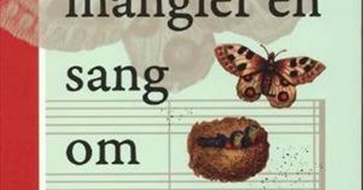 Vibeke Vasbo: Der mangler en sang om solsorten