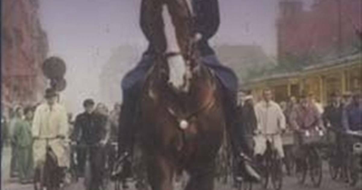 Knud J.V. Jespersen: RYTTERKONGEN Et portræt af Christian 10.