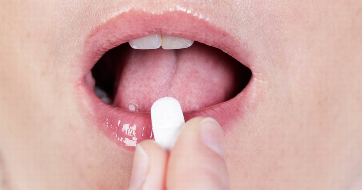 Støvmide-pille skal hjælpe på astma - Jyllands-Posten