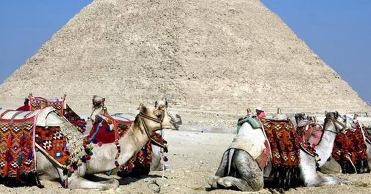 Pyramider, mumier og sidste skrig - Jyllands-Posten