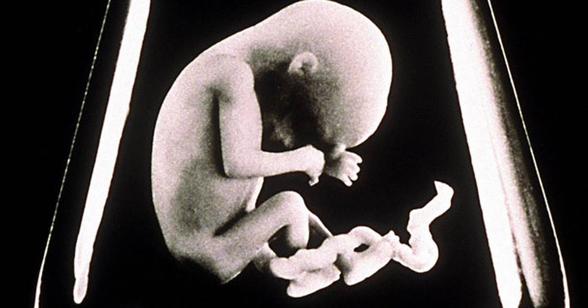 Skal forbrydere fravælges som fostre? - Jyllands-Posten