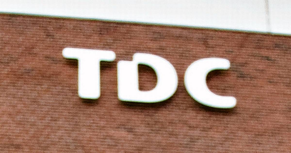 TDC: Sådan fandt vi vores nye it-chef - Jyllands-Posten