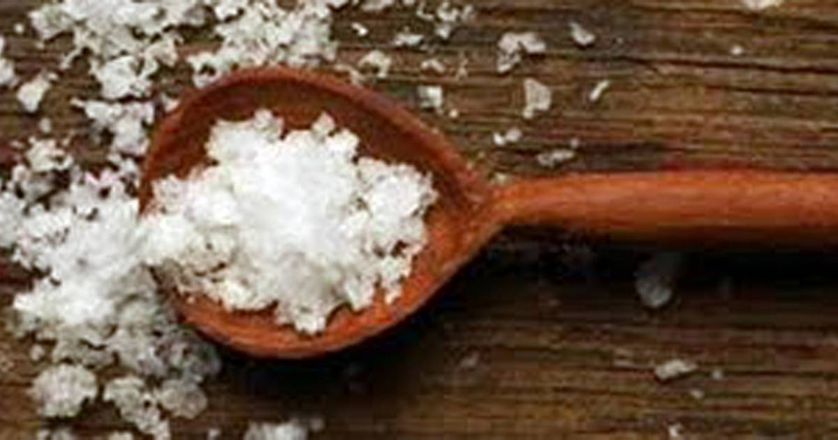 Beskyt din hjerne mod saltskader - Jyllands-Posten