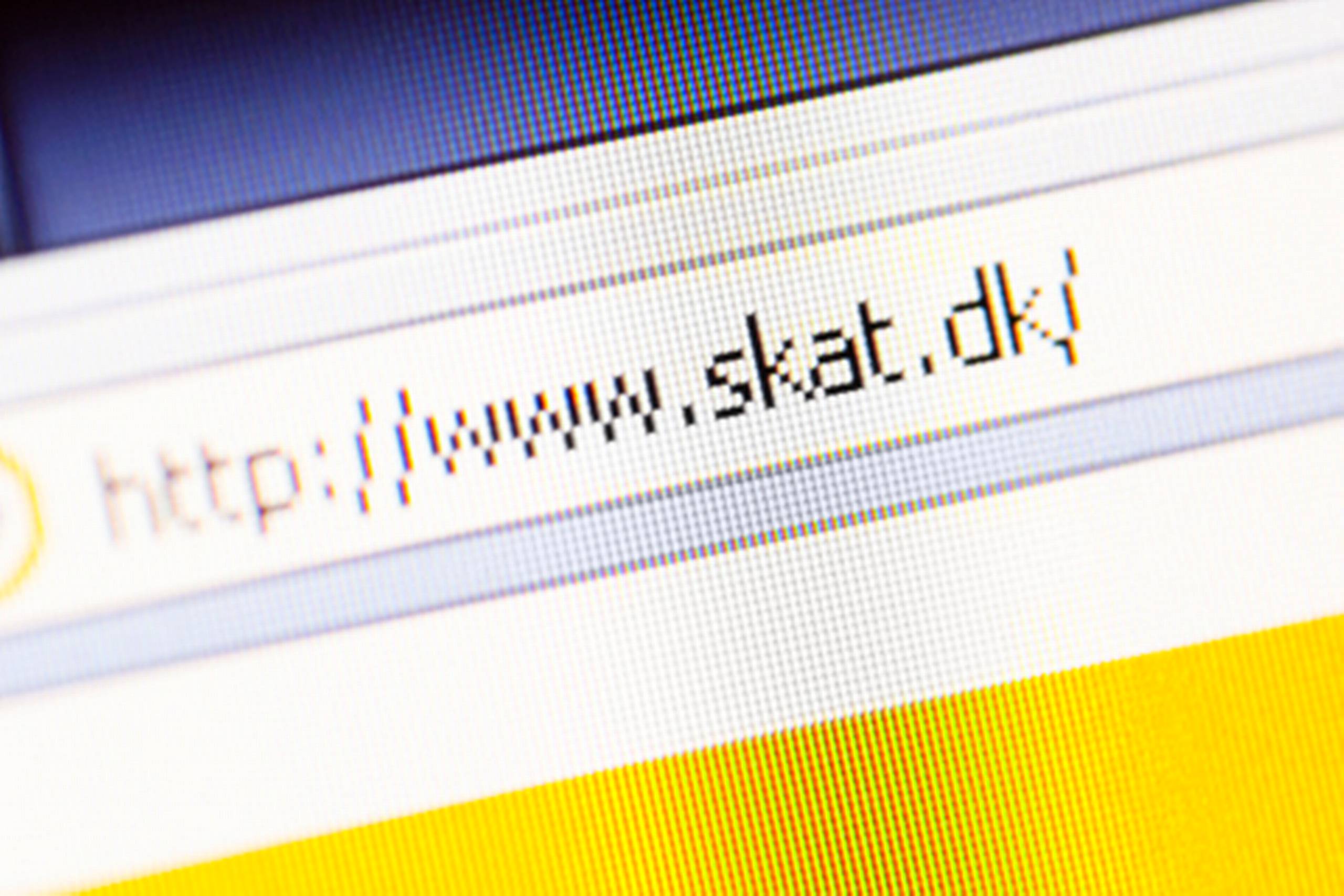 Hvor meget skal du betale i skat? - Jyllands-Posten