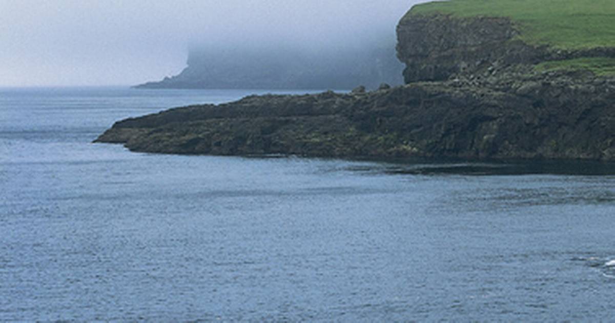 Else Lidegaard: Med snudehulkende hilsen fra William Heinesen