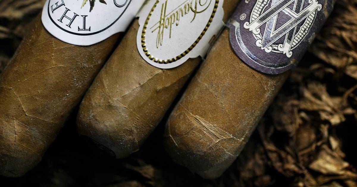 Scandinavian Tobacco Group spandt guld på cigarer i 2014 - Finans